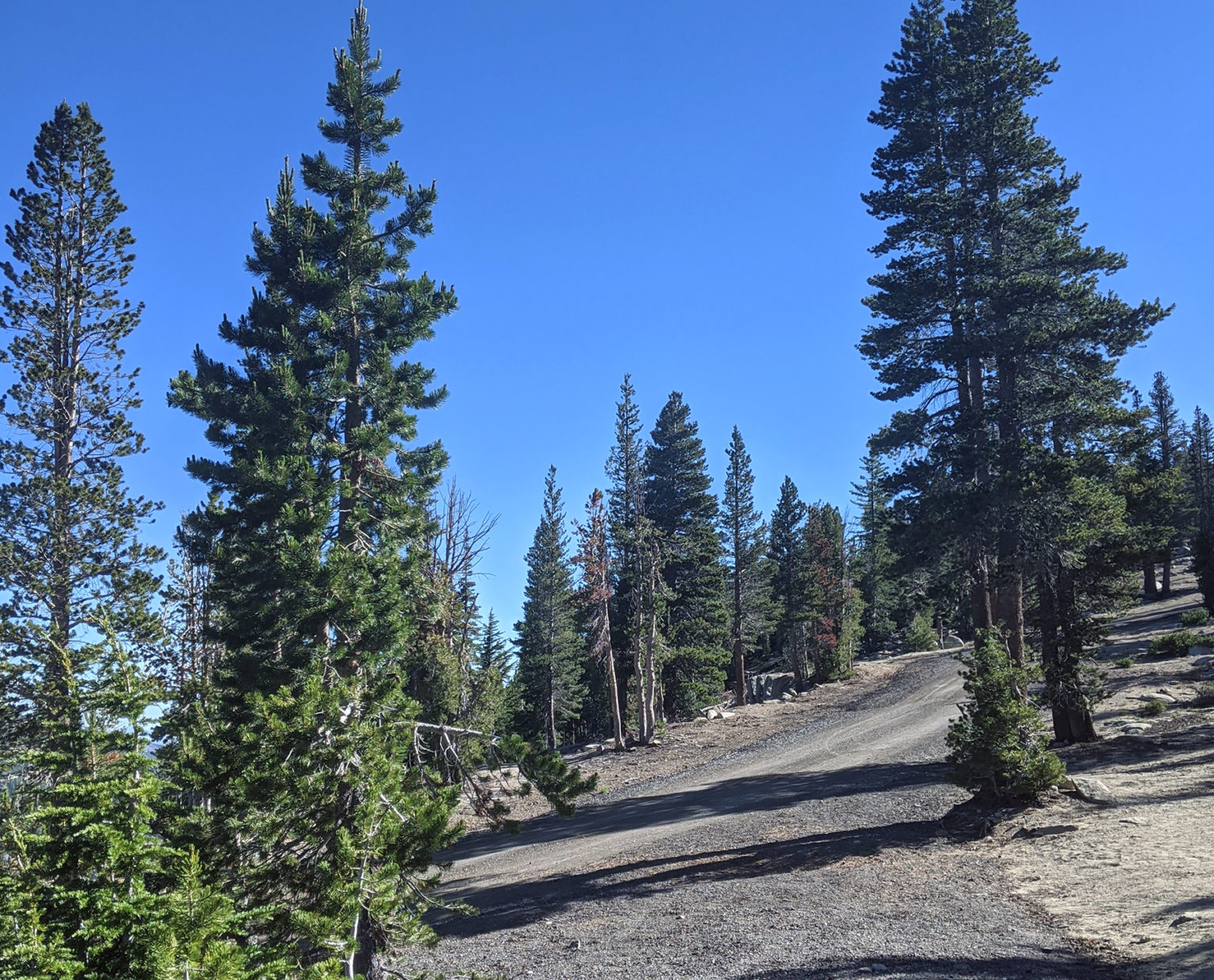Hike to the top of Slide Mountain - Base Camp Reno
