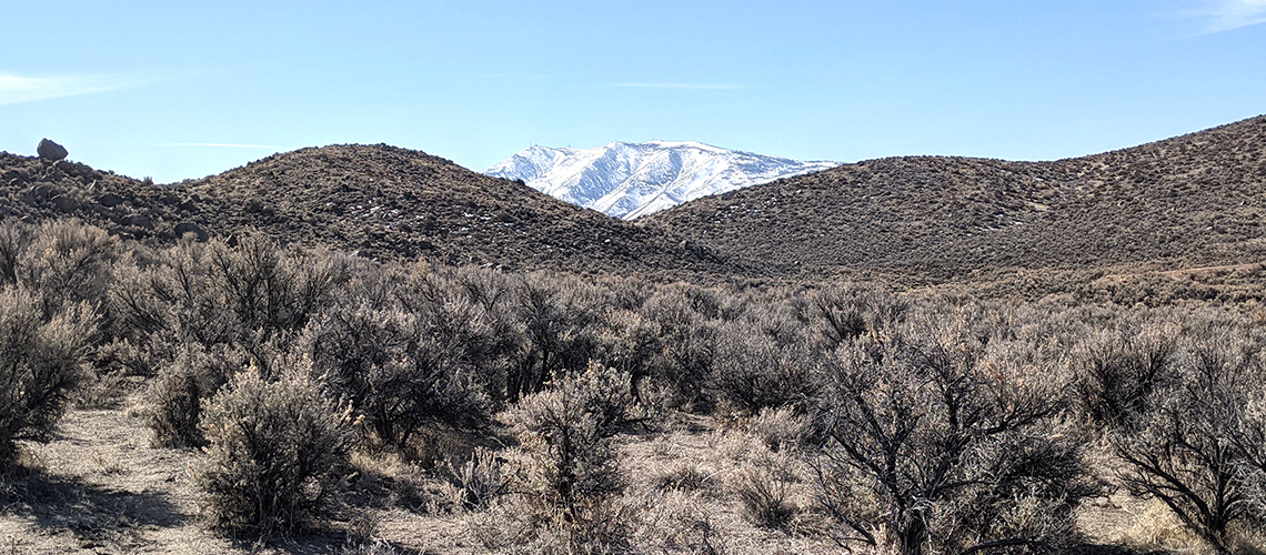 Easy, Secluded Loop North of Reno: Quail Loop - Base Camp Reno