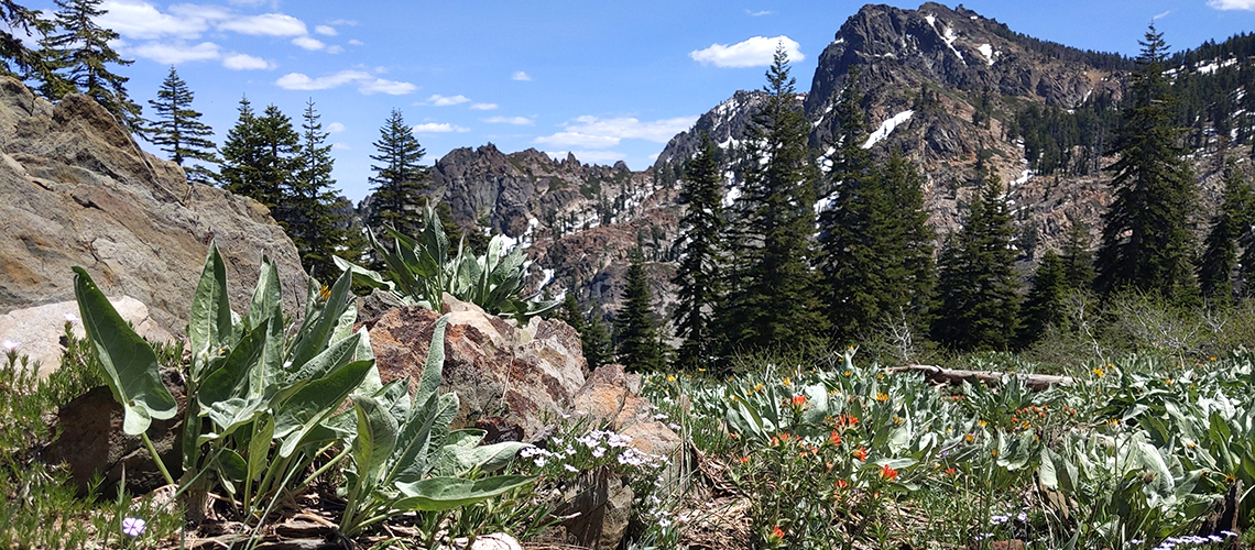 BASE CAMP RENO – A LOVE LETTER TO THE NATURAL WORLD - Base Camp Reno